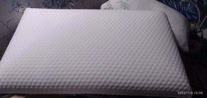 Classic Rectangular Pillow | Daraz.com.np