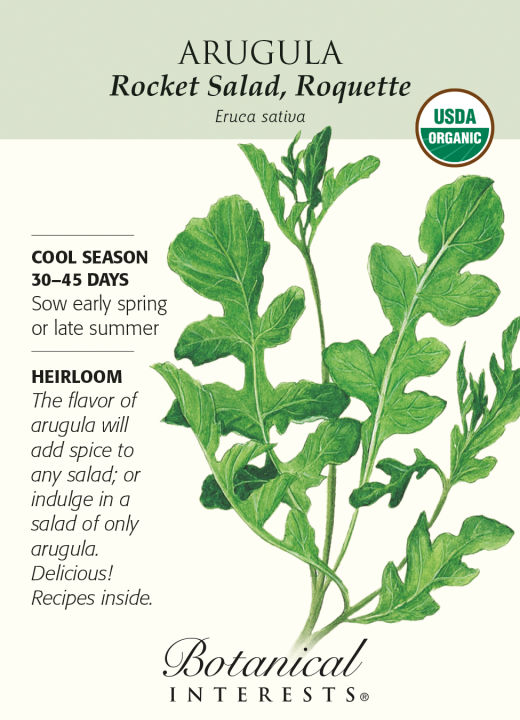 20+ Seeds Rocket Rucola Arugula Cultivated Imported Exotic Seeds ...