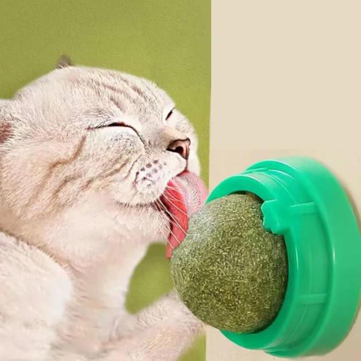 The Catnip Cat Wall Stick-on Ball Toy Scratchers Treats Healthy Natural ...