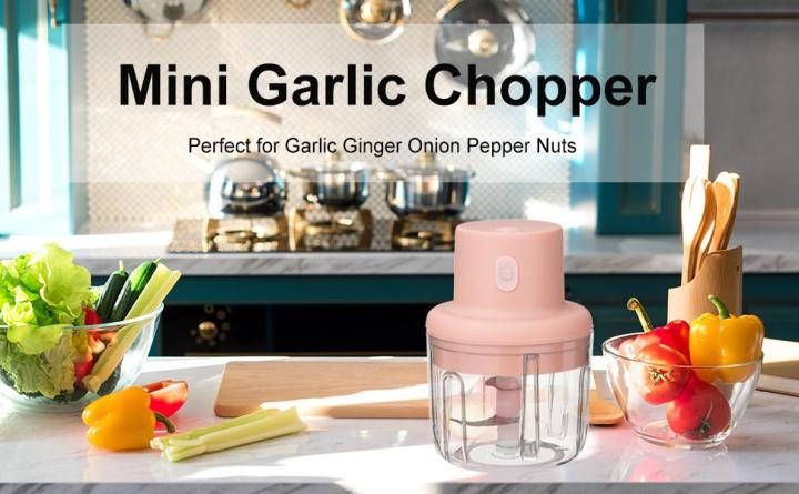 Portable Electric Garlic/Ginger Meat Chopper, 250 ml | Daraz.com.np