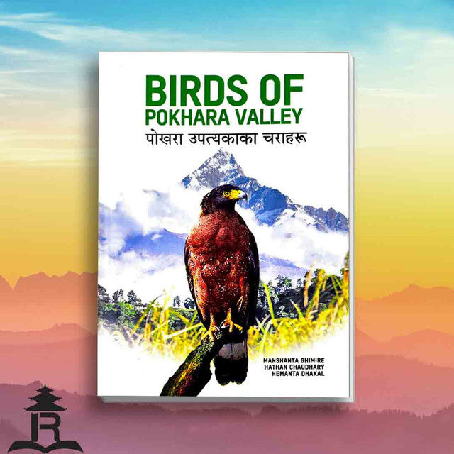 Birds of Pokhara Valley (rare) - Manshanta Ghimire/Hathan Chaudhary ...