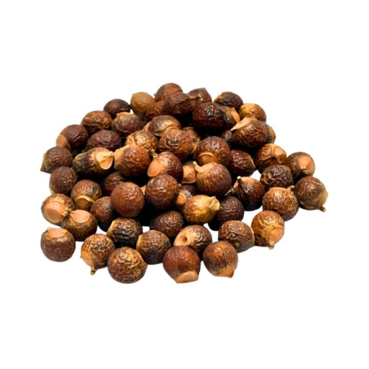 Herbs Soapberry (Rittha Dana) 500g | Daraz.com.np