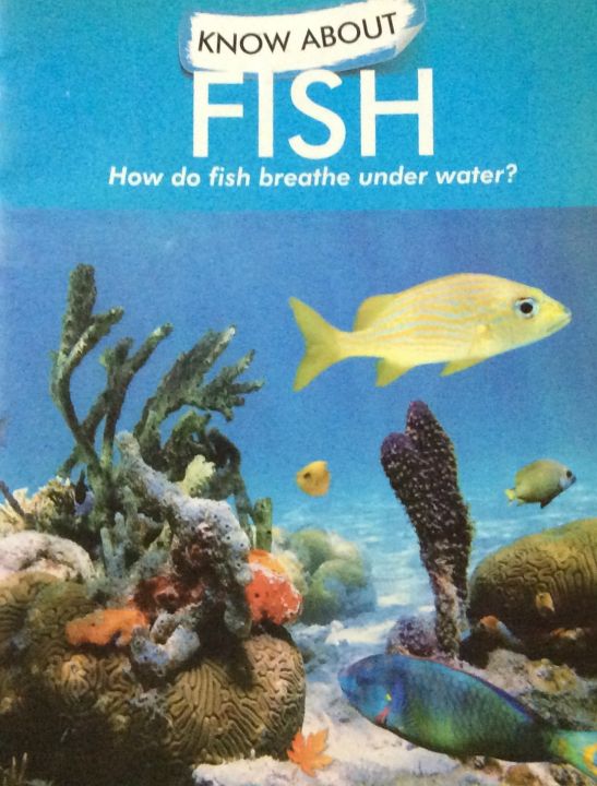 Know About Fish: How D0 Fish Breathe Under Water? | Daraz.com.np