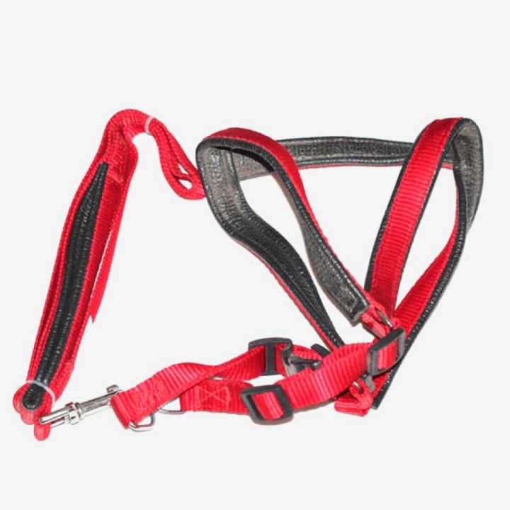 Nylon Dog Belt For Medium Dogs with Adjustable strap | Daraz.com.np