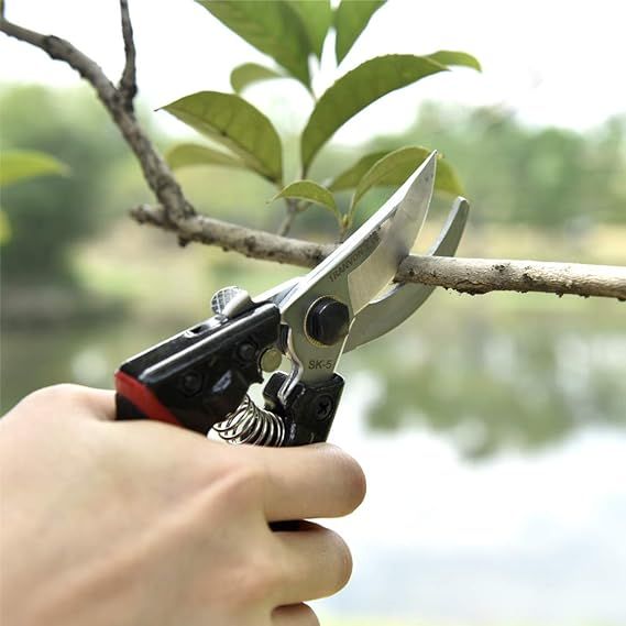 Professional Sharp Pruners,Garden Pruners,Tree Trimmers Secateurs ...