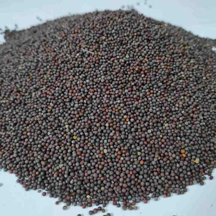 Black mustard,tori,200gm | Daraz.com.np