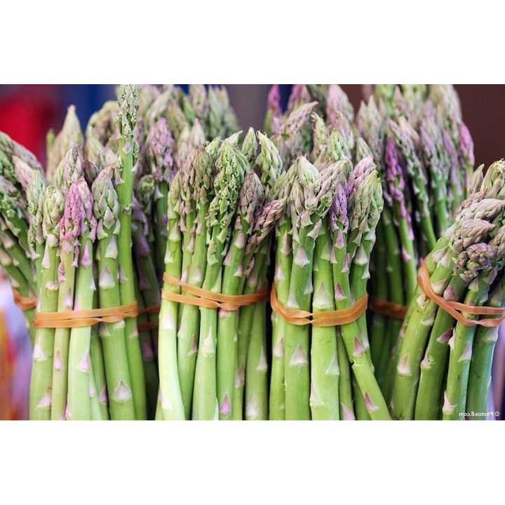 Asparagus Seeds 30-50 Seeds Imported Kurilo Seeds For Garden | Daraz.com.np