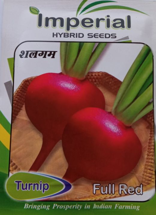 Vegetable Seeds - 1 Packet Red Turnip Seeds 10 Gram Salagam Seeds ...