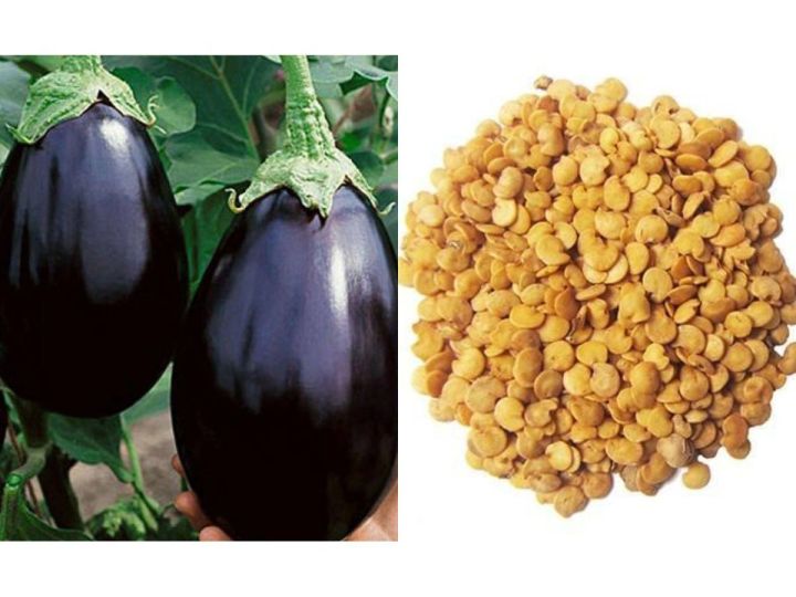 Vegetable Seeds - 1 Packet Brinjal Seeds Chhoti Ram | Daraz.com.np