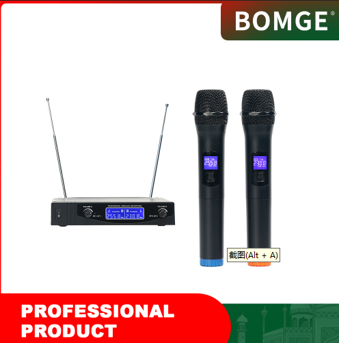 Microphone, Dual Professional Dynamic Microphone Set with LED Display ...