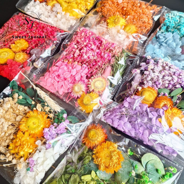 Sweet Journal Dried Flowers Natural Floral DIY Crafts Scrapbooking ...