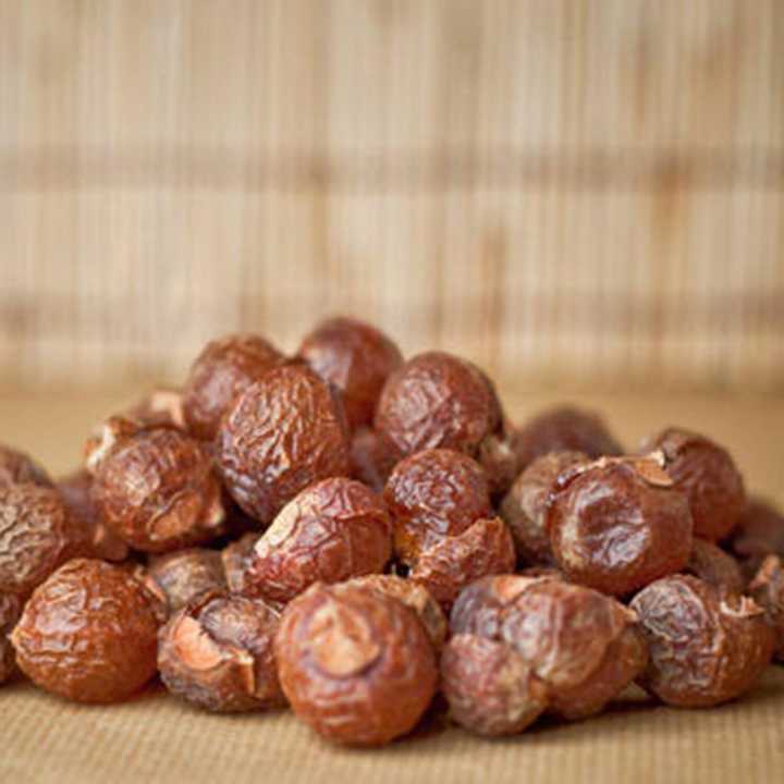 Rittha / Soapnut / Reetha - Dry 1 Kg | Daraz.com.np