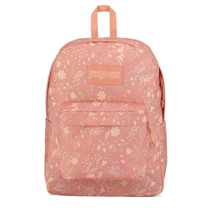 Jansport Superbreak Plus JS0A4QUEZ53 Dried Foliage Backpack for Unisex ...