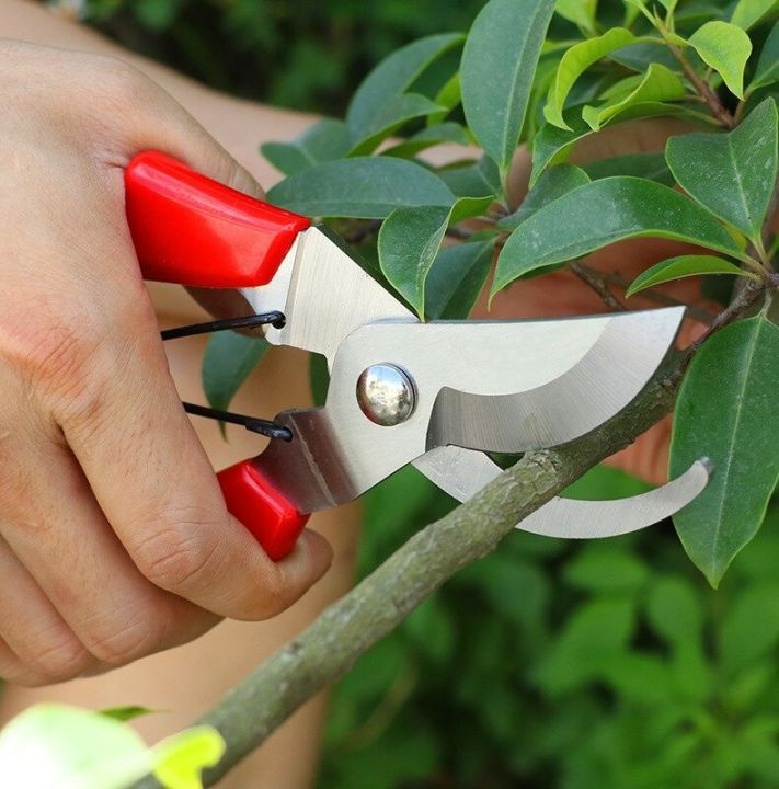 Gardening Scissors for Garden Cutting Tools Pruning Shears with Metal ...