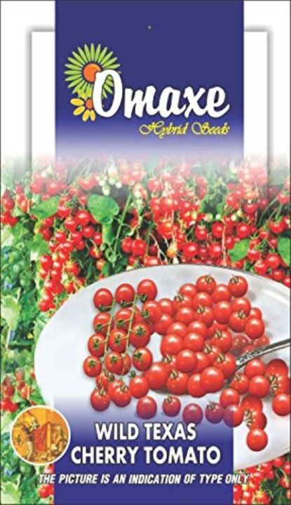 1 Packet Excellent Quality Omaxe Tomato Cherry Wild Texas Very Small ...