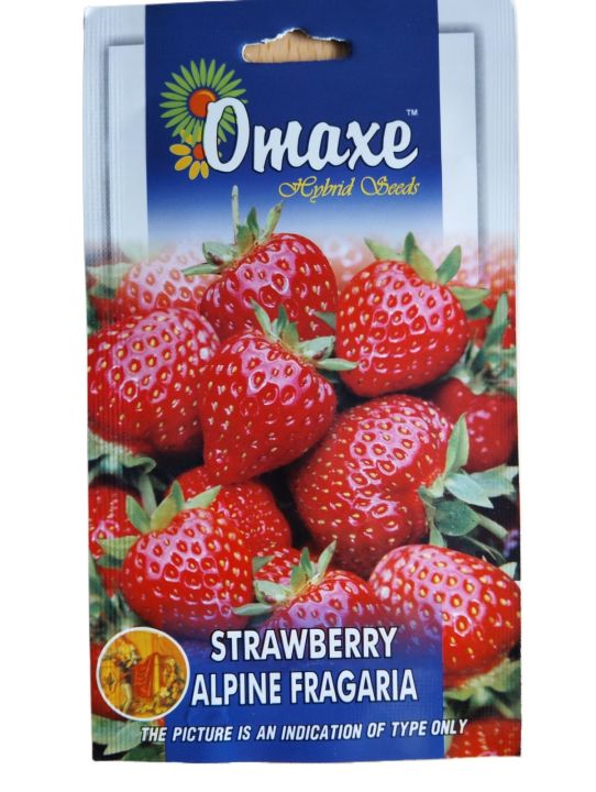 Imported Hybrid Strawberry , Alpine Fragaria Fruit Seeds 30 Seeds ...