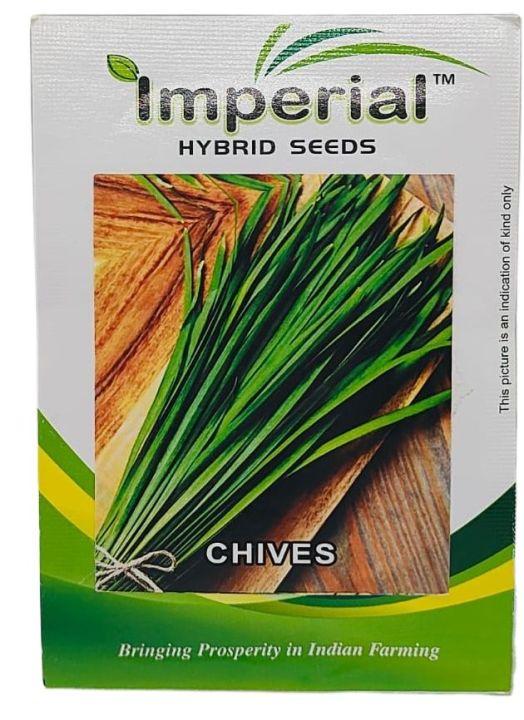 Vegetable Seed - 1 Packet Chives Seeds By Savyata Stores For Kitchen ...