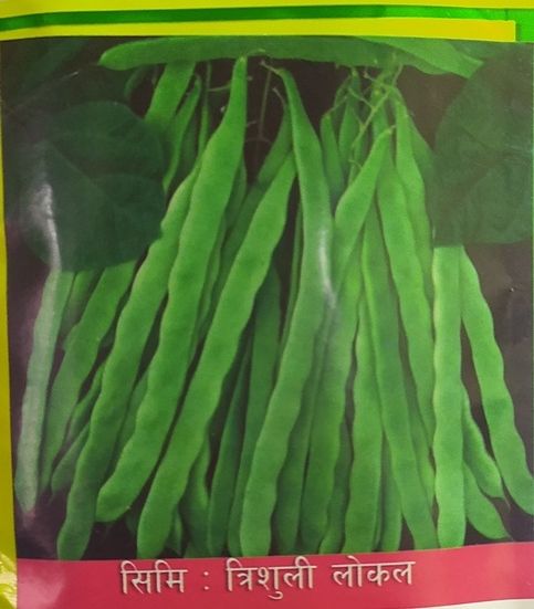 Vegetable Seeds - Round a Year Trisuli Local Bean Seeds 20 Gram ...
