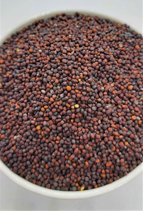 Mustard Seeds / Rayo Ko Dana - 200gm | Daraz.com.np