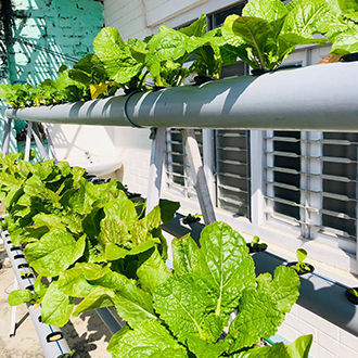 Grey DFT Vertical Hydroponic System | Daraz.com.np