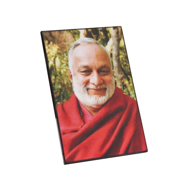 Swami Anand Arun Picture - 45cmx 30cm | Daraz.com.np
