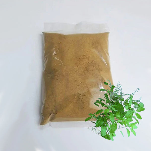 Holy Basil - Tulasi Powder for Tea, Drinking, Eating, Cough, Diabetes ...