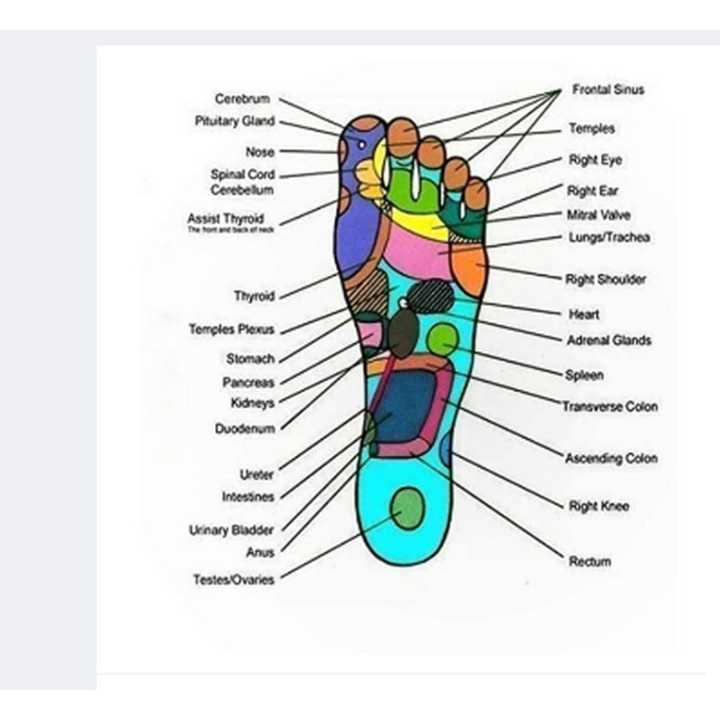 Blood Circulation Massager Mat Acupressure Reflexology Magnetic ...