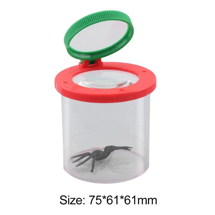 Portable Toy Insect Spider Kids Magnifying Glass Box Insect Kids ...