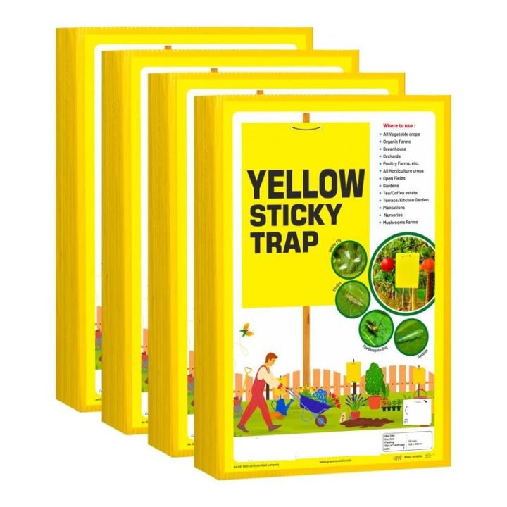 Yellow Sticky Traps | Chemical Free Fly Traps/Insect Catchers/Sticky ...