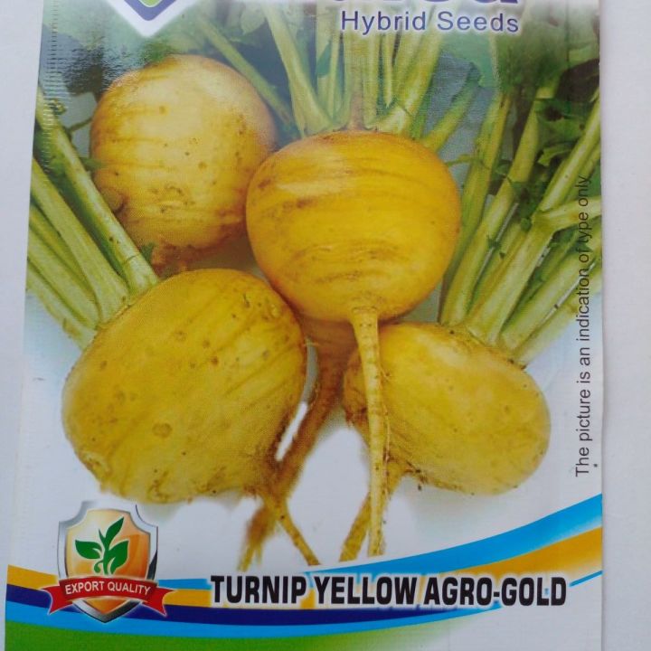 1 Packet Turnip Seeds - Yellow Super Vegetable Seed | Daraz.com.np
