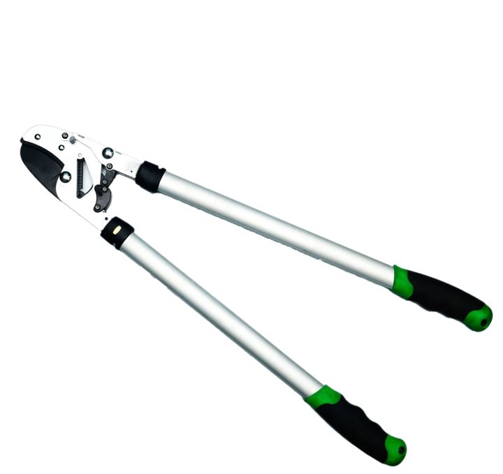 Heavy-Duty Manual Hedge Shears – Long-Handled Bush and Plant Cutter for ...