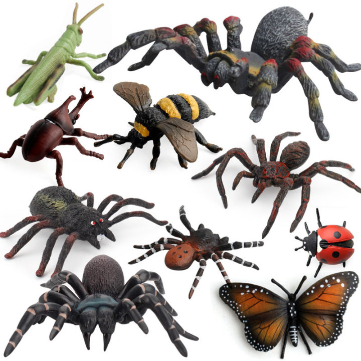 Cross-border simulation solid butterfly spider insect animal model bee ...