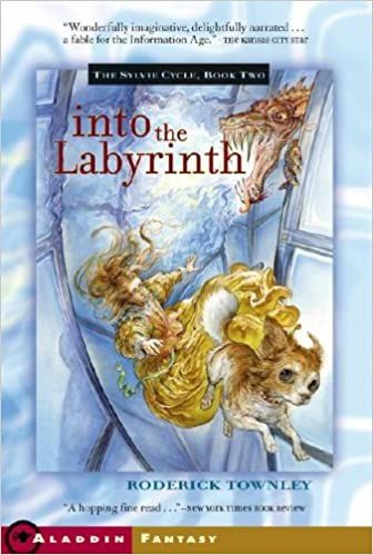 Into the Labyrinth | Daraz.com.np