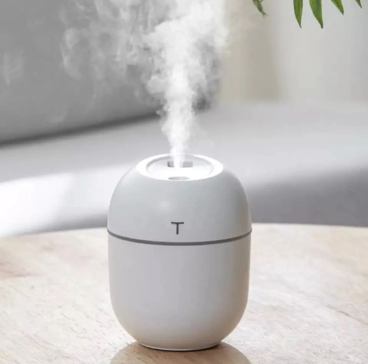 Portable Mini Egg Humidifier Ultrasonic Air Humidifier Aroma-220ml ...