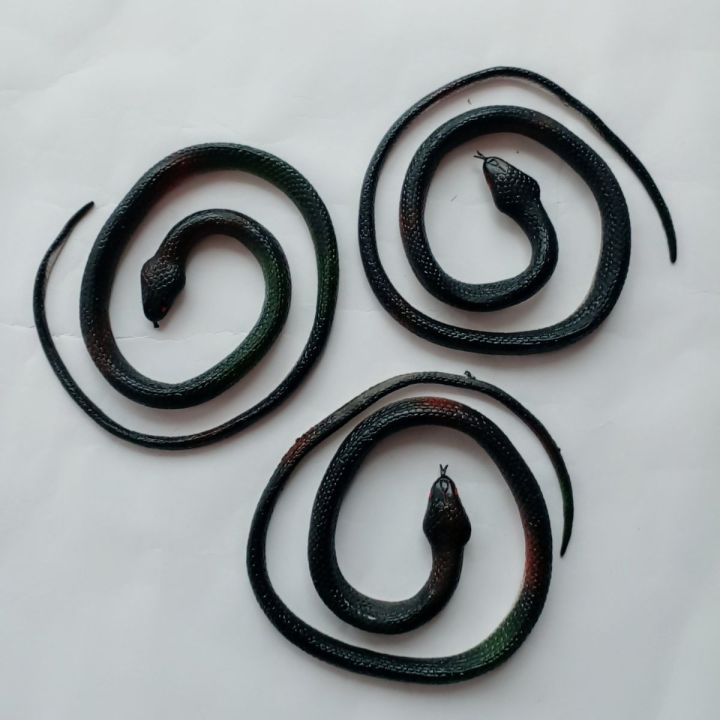 Rubber Snake Toys for Kids | Daraz.com.np