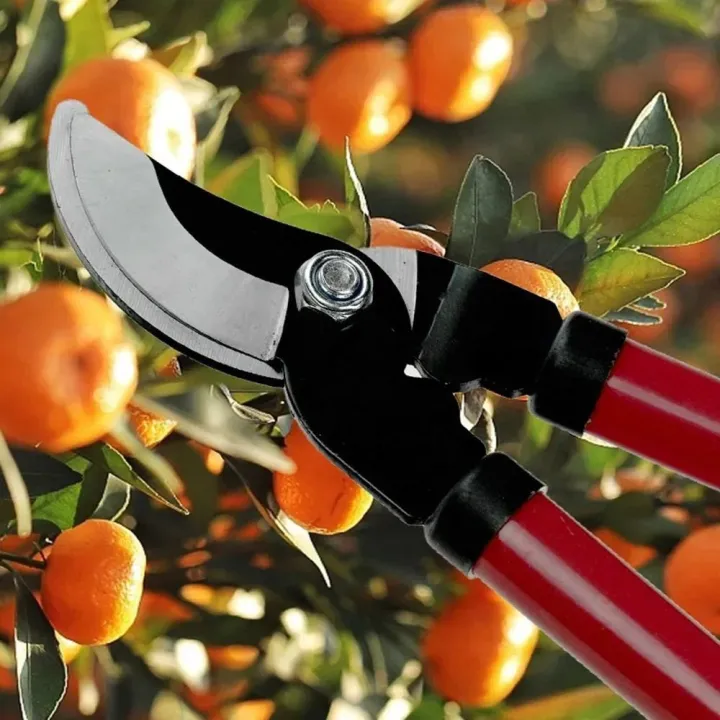 Cutter Long Handle Pruning Shear Labor-saving Non Slip Portable Pruner ...