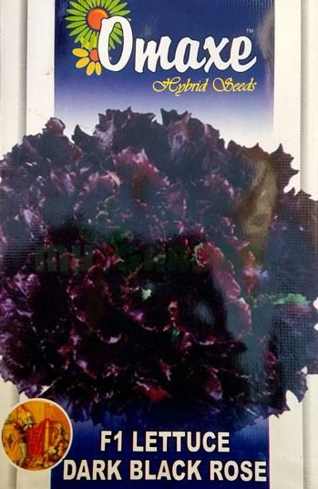 Dark Black Rose F1 Lettuce Seeds – (25 seeds) Loose Packed | Daraz.com.np
