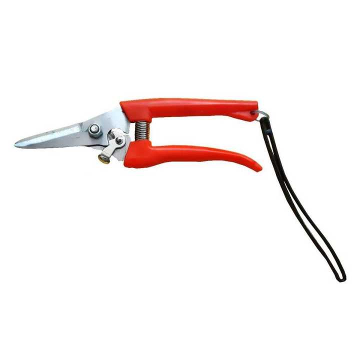 Lady Cutter Pruning Shear | Daraz.com.np