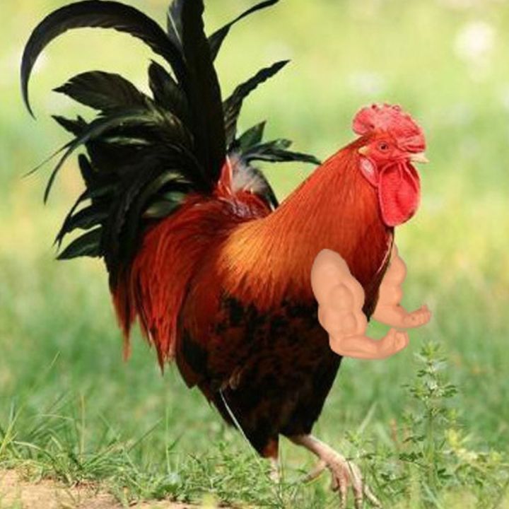 Chicken Supplies Funny Fighting Chicken Arms Toys Giant Arm Artificial ...
