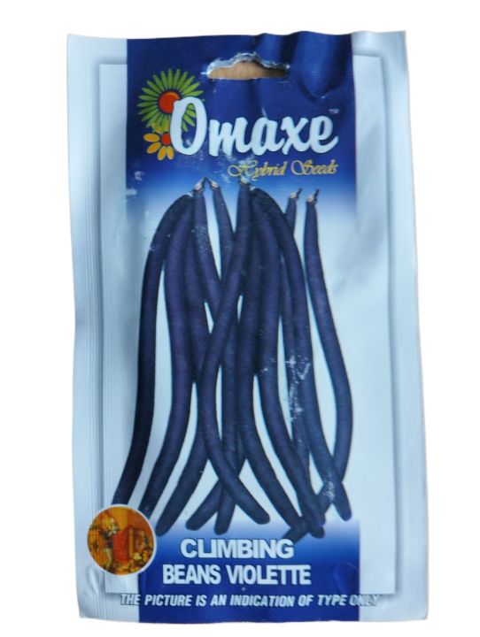 Hybrid Climbing Beans Violette, Tane bodi Vegetable Seed 30 Seeds रातो ...