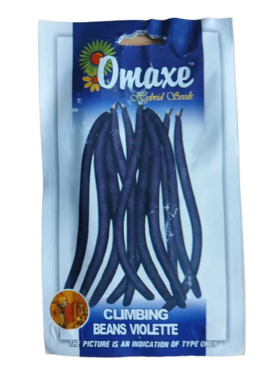 Hybrid Climbing Beans Violette, Tane bodi Vegetable Seed 30 Seeds रातो ...