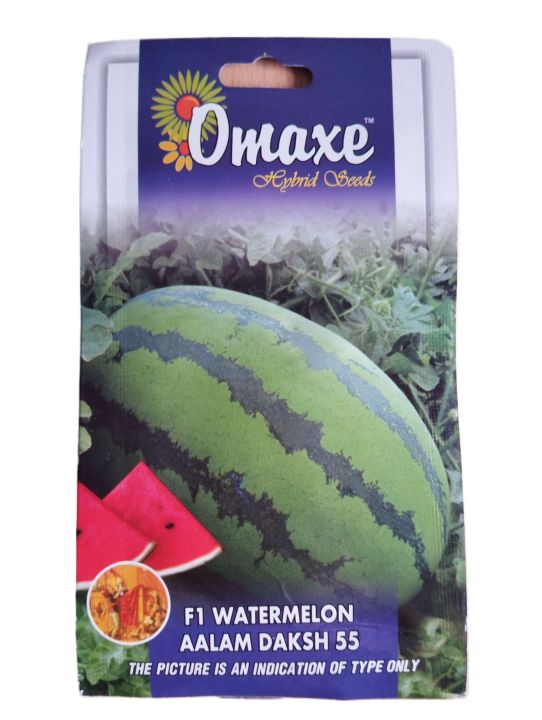 Hybrid Watermelon Aalam Daksh 55 Fruit Seeds 10 Seeds For Kitchen ...