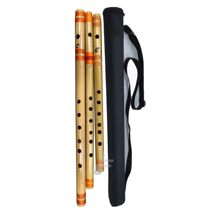 Combo Of 3 Pieces Scaled Bamboo Flute / Bansuri With Hardcase Flute Bag ...