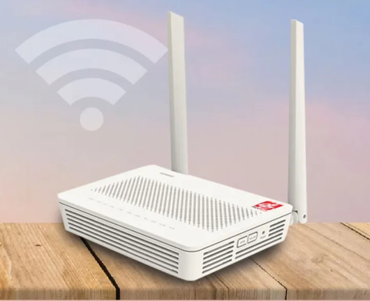 DishHome Fibernet 300 Mbps Internet+DTH Combo WiFi Renew Package ...