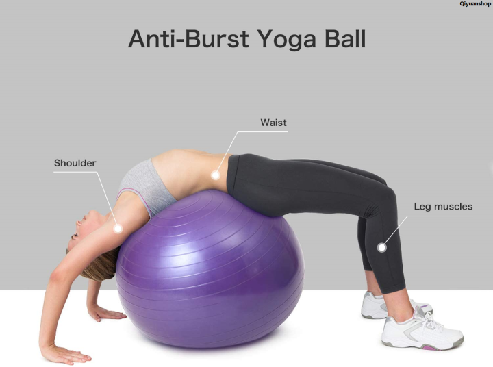 Qiyuanshop2025 GYM Ball 65 CM / YOGA Exercise Balls | Daraz.com.np