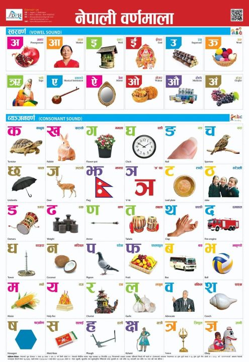 Nepali Barnamala & English Alphabet Chart 18" x 28" - Dhoju Publication ...