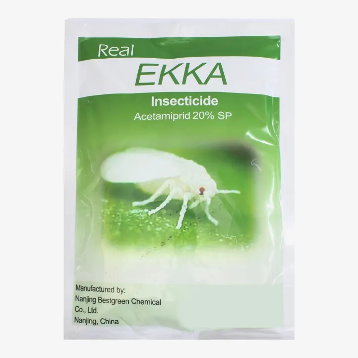 Insecticide Real Ekka, Acetamiprid 20% SP 100g | Daraz.com.np