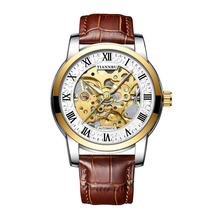 Tianbo Tourbillon Men's Watch Waterproof Mechanical Watch Fully ...
