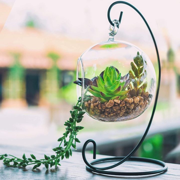 Soho Living Hanging Terrarium Glass Bowl | Daraz.com.np