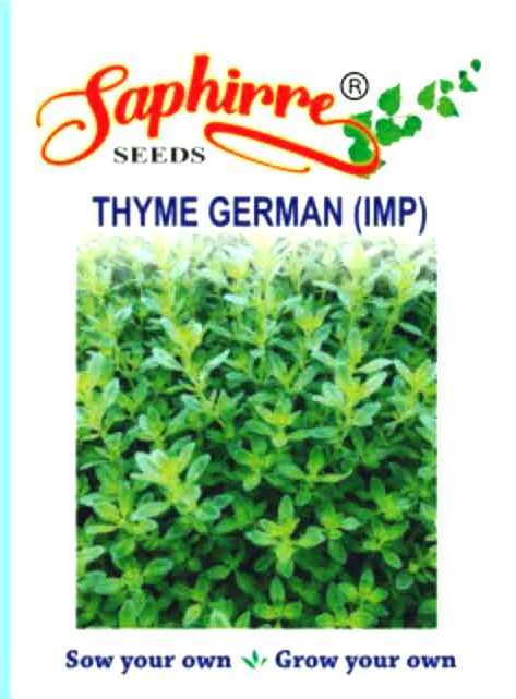 1 Packet Saphirre Thyme Seeds All Time All Season Thyme Seeds , Organic ...